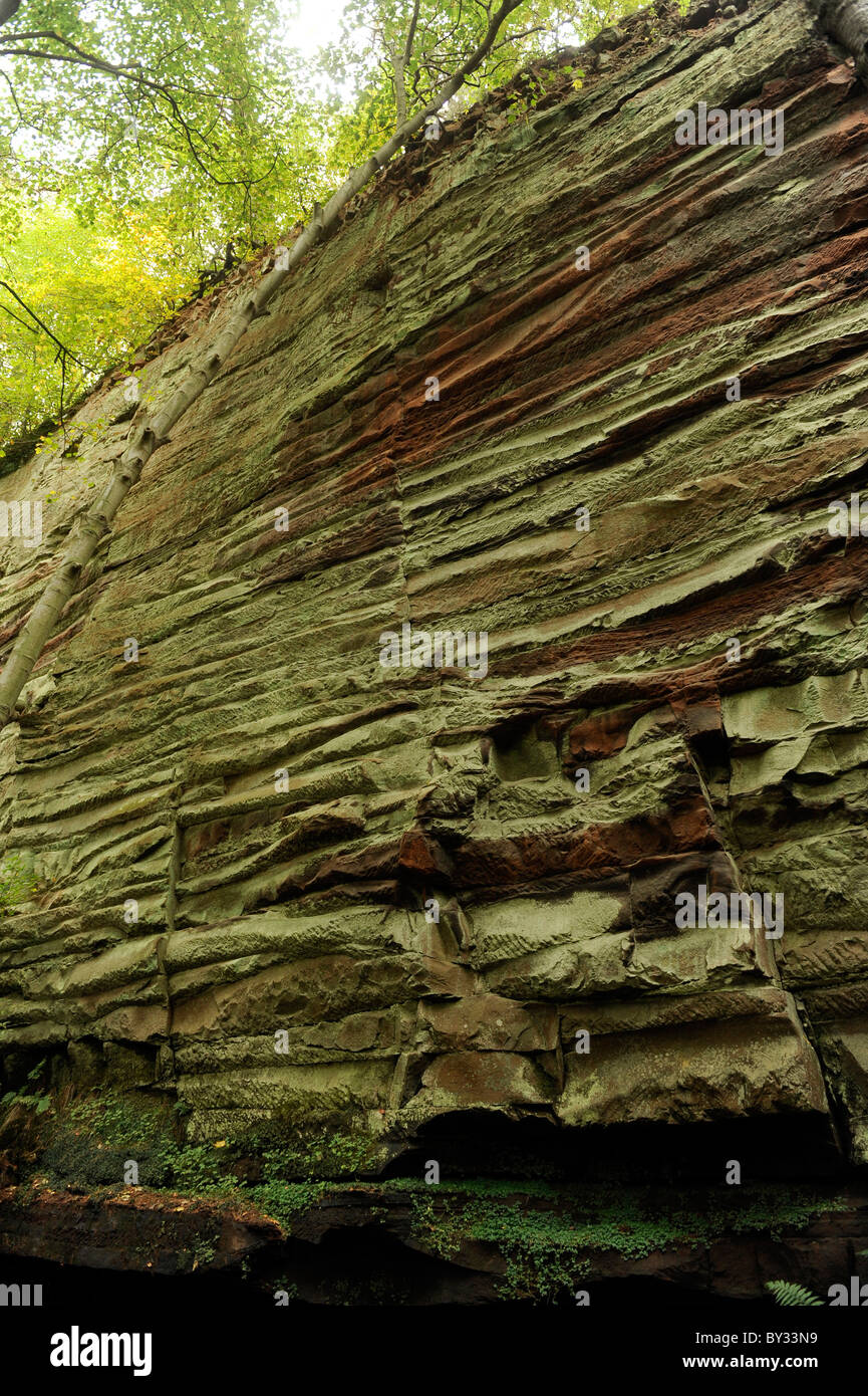 Sandstone cliffs quarried by the Romans in Gelt Woods, near Brampton ...