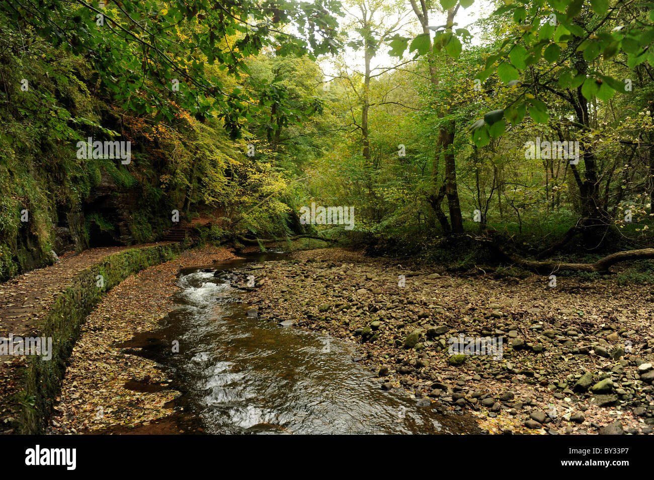 The River Gelt runs through Gelt Woods near Brampton, Cumbria Stock ...
