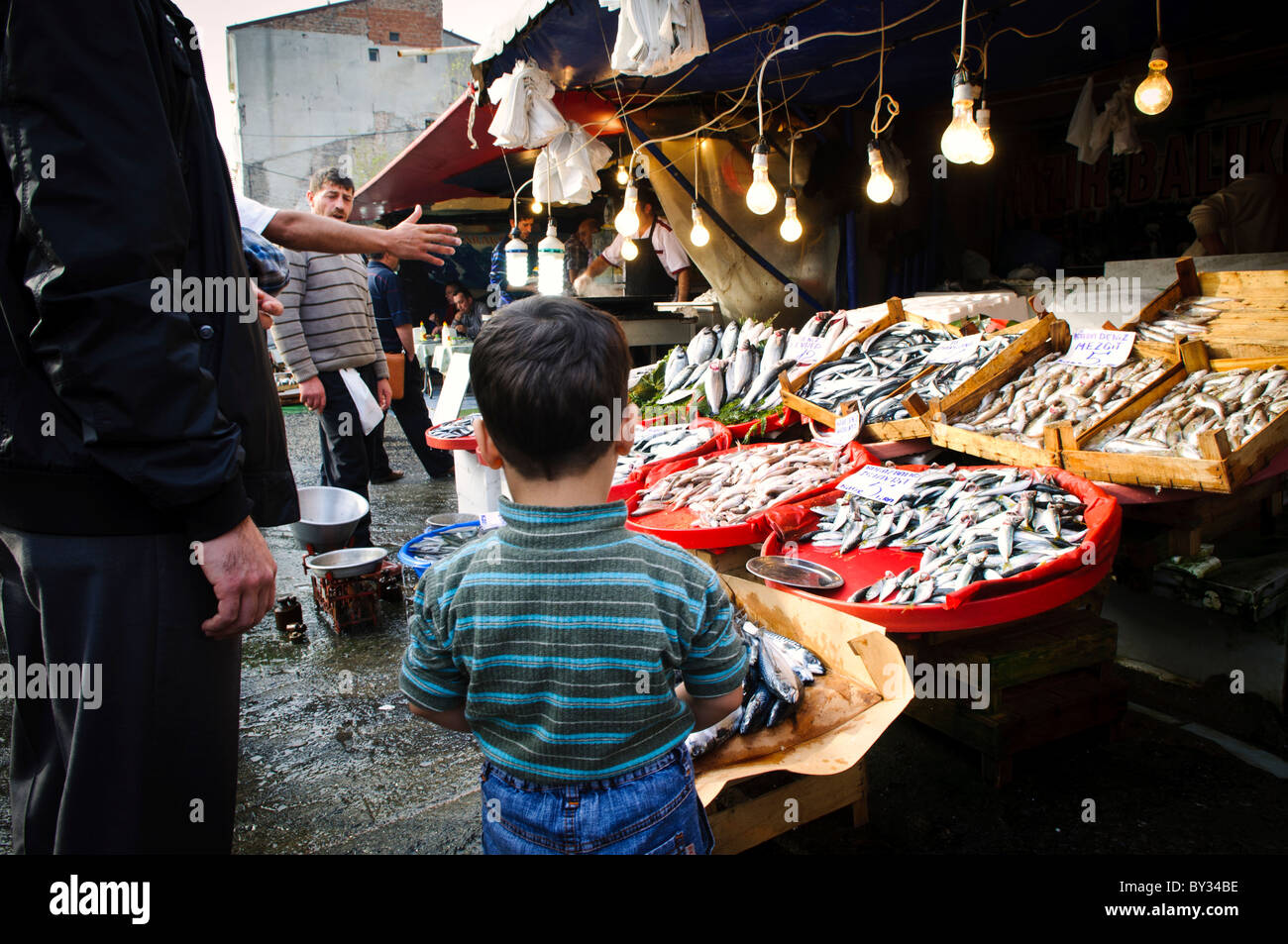 ISTANBUL, Turkey — A young boy observes the fresh fish on display at ...