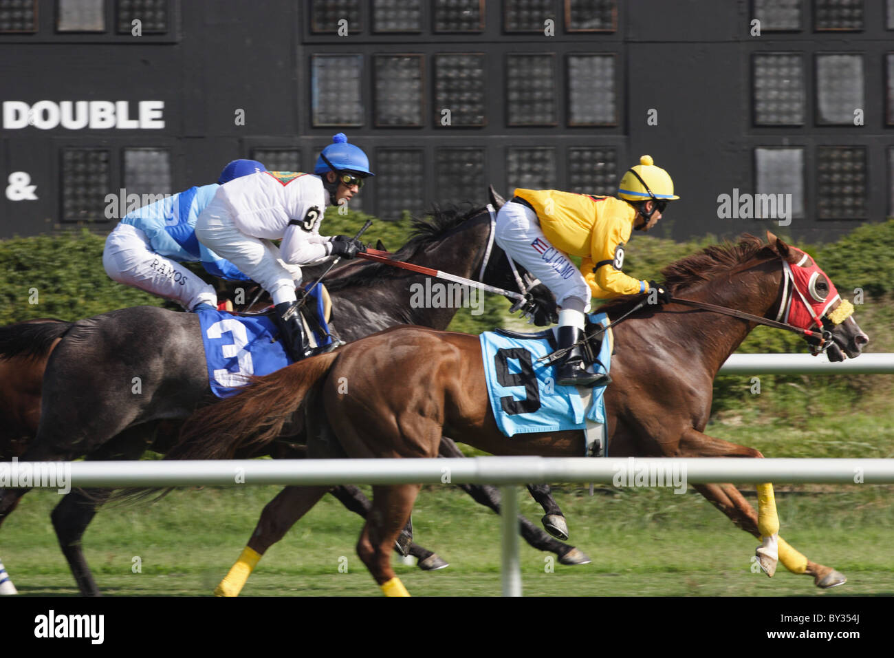 Jockeys near finish line in a close race at Colonial Downs, Virginia in ...