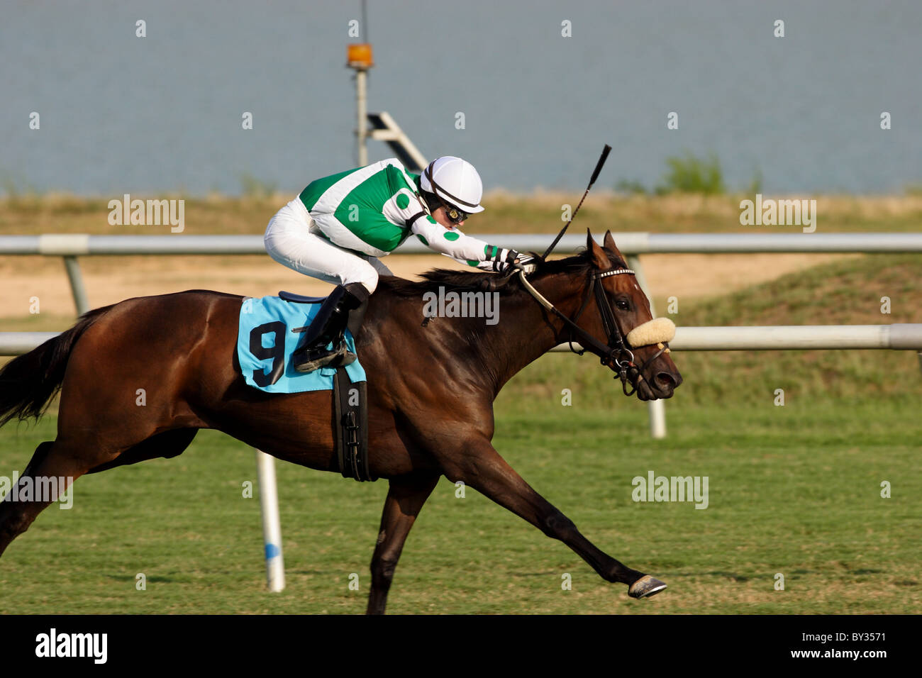 Jockey horse race hi-res stock photography and images - Alamy