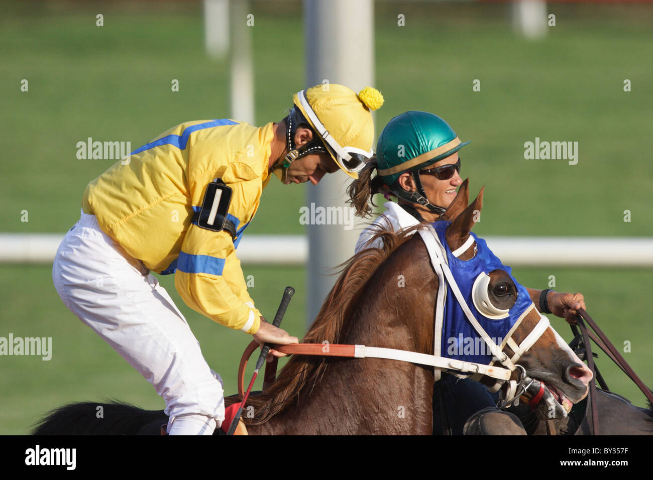 Jockeyrose hi-res stock photography and images - Alamy