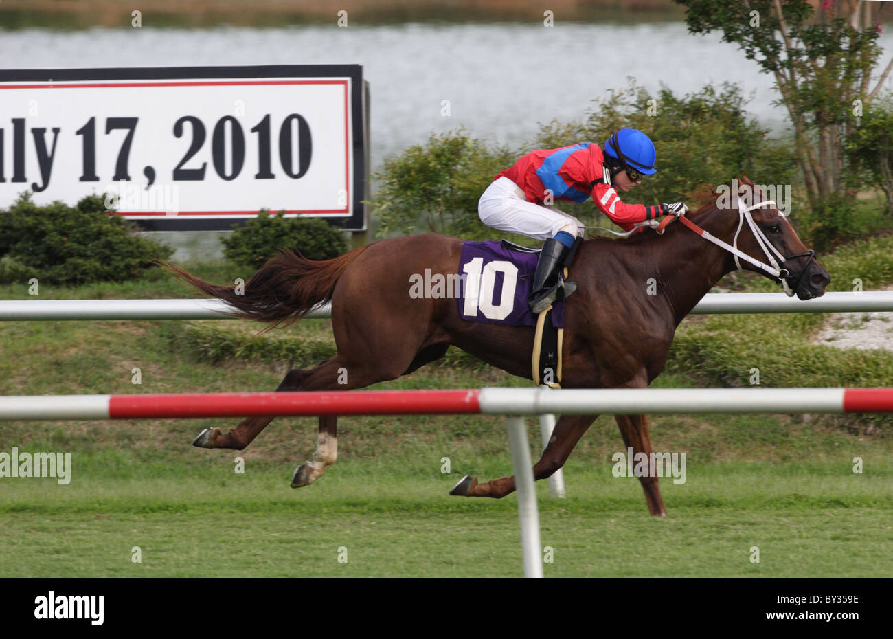 "forest boyce" hi-res stock photography and images - Alamy