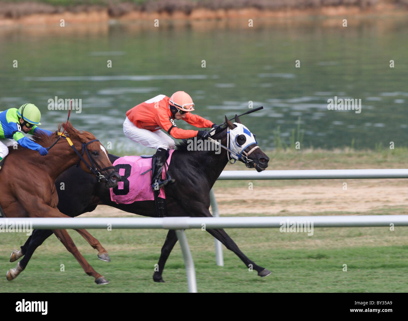 Jockeys racing to the finish at Colonial Downs racetrack, New Kent ...