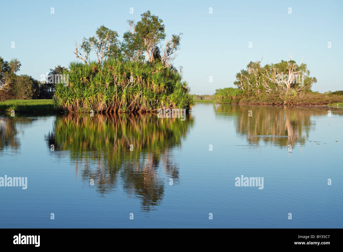 Trees with reflections, Yellow water billabong, Kakadu National Park ...