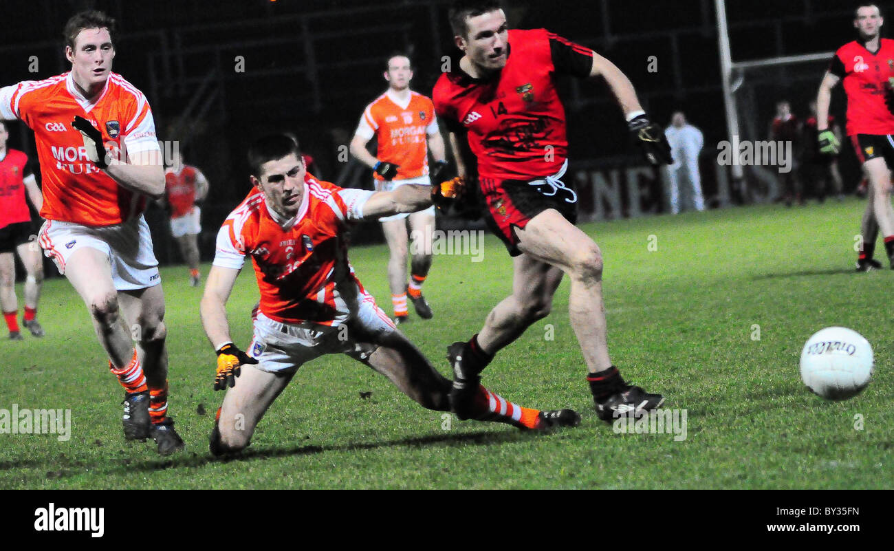 Murtagh High Resolution Stock Photography and Images - Alamy