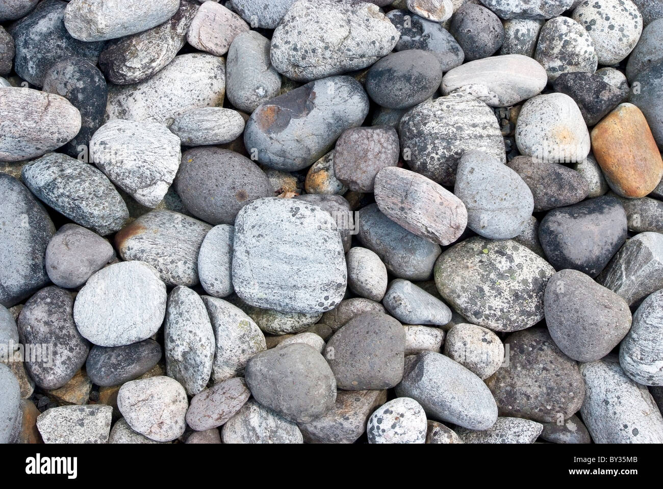 Pebbles on a beach Stock Photo - Alamy