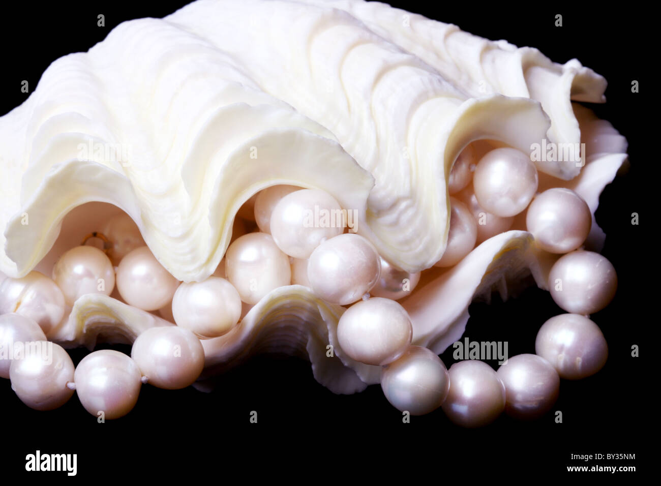 Black pearl jewel hi-res stock photography and images - Alamy