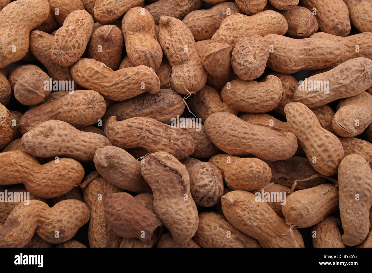 Peanut or groundnut in it's shell ready to eat Stock Photo - Alamy