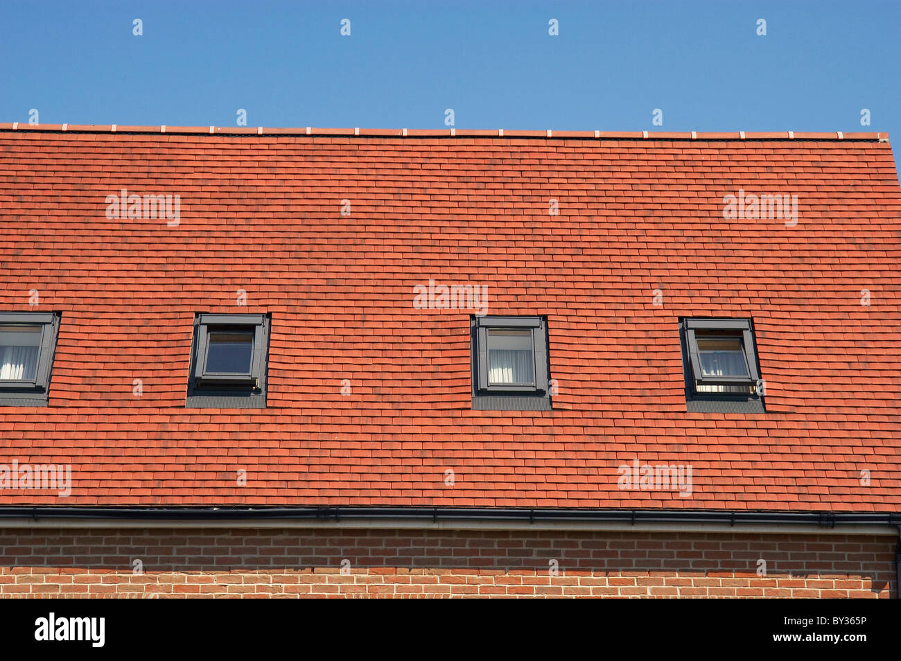 Velux windows on a tiles roof Stock Photo - Alamy
