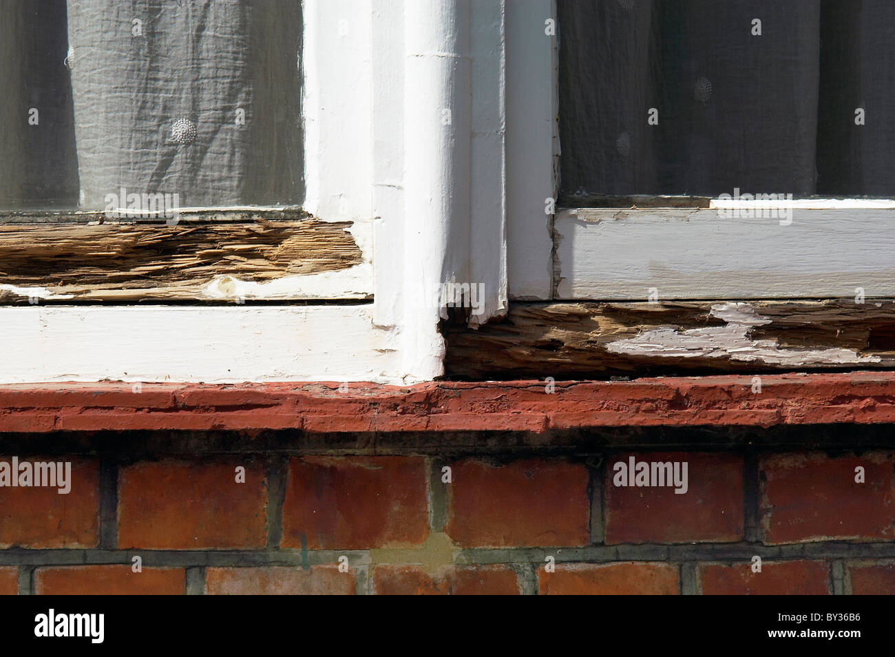 Detail of a damaged sash window Stock Photo - Alamy