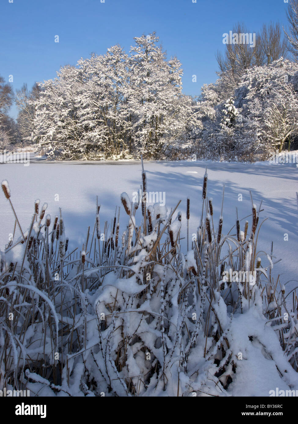 Sub freezing temperatures hi-res stock photography and images - Alamy