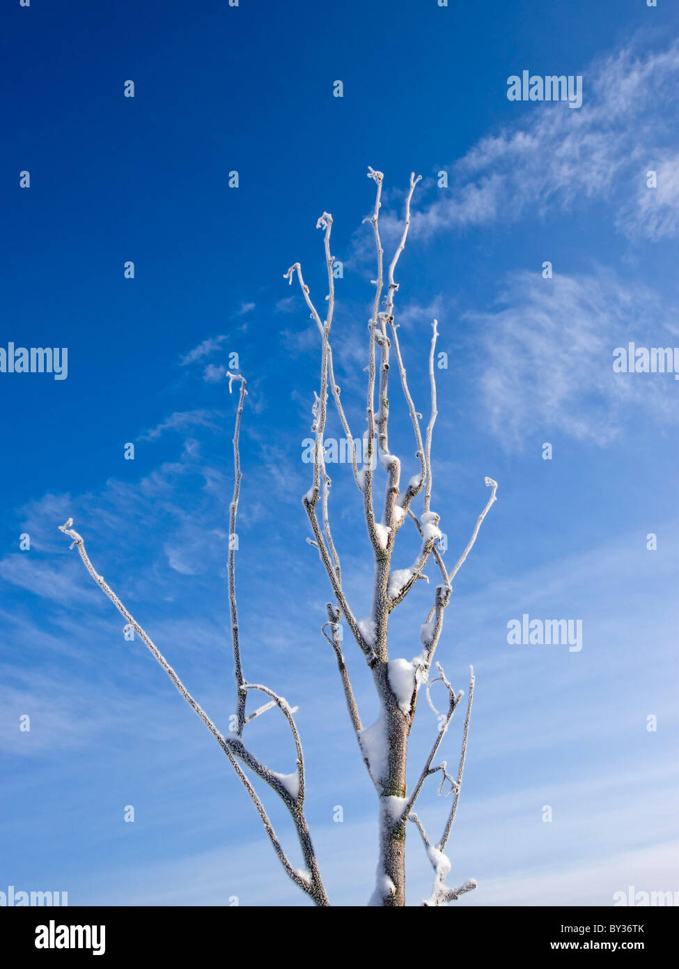 snow winter cold freezing december Stock Photo - Alamy