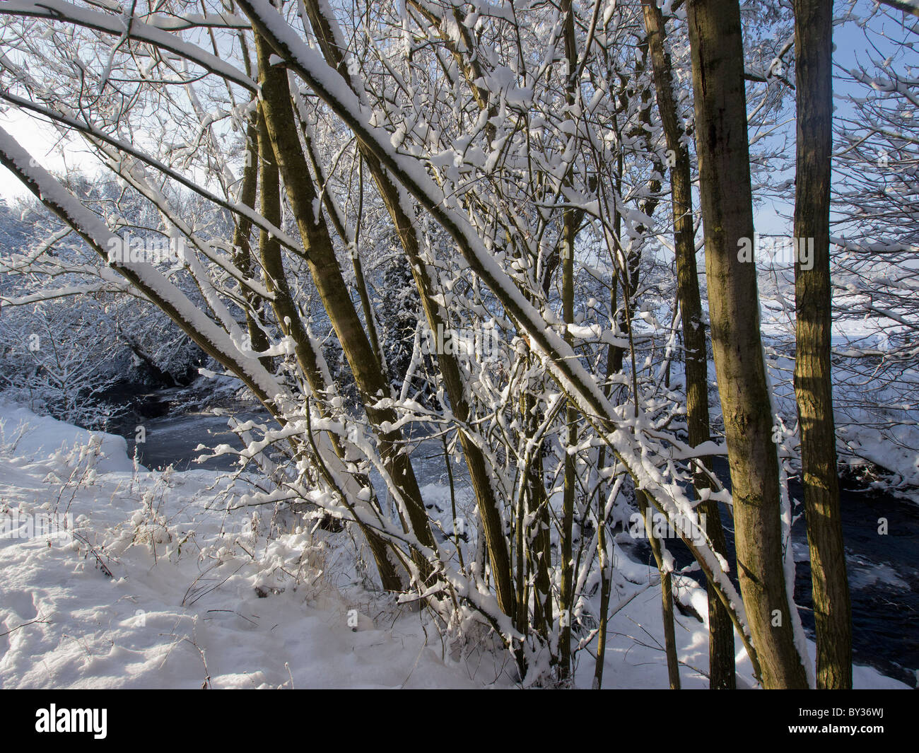 snow winter cold freezing december Stock Photo - Alamy