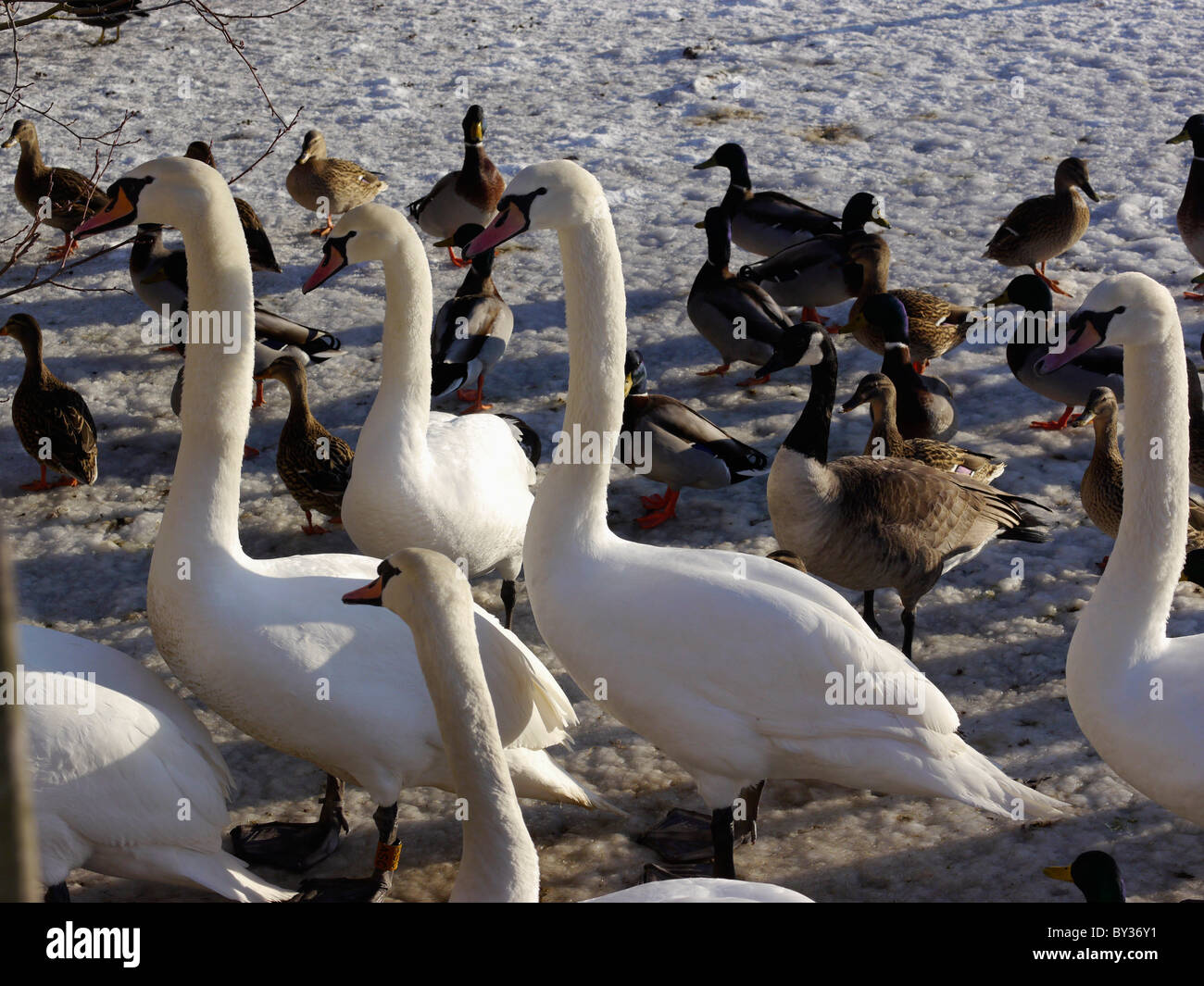 Facilility hi-res stock photography and images - Alamy