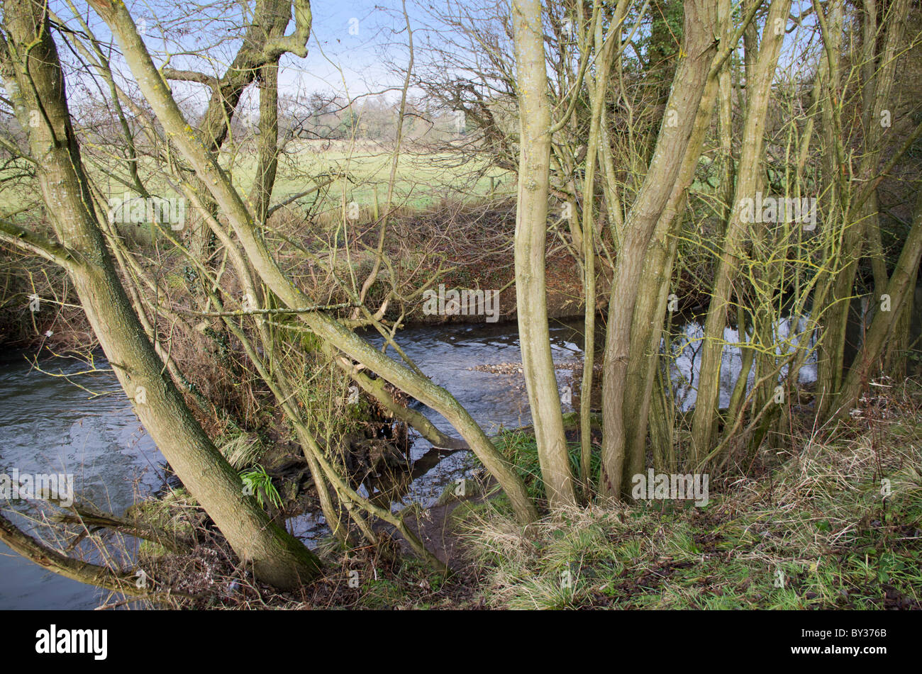 arrow valley country park redditch Stock Photo - Alamy