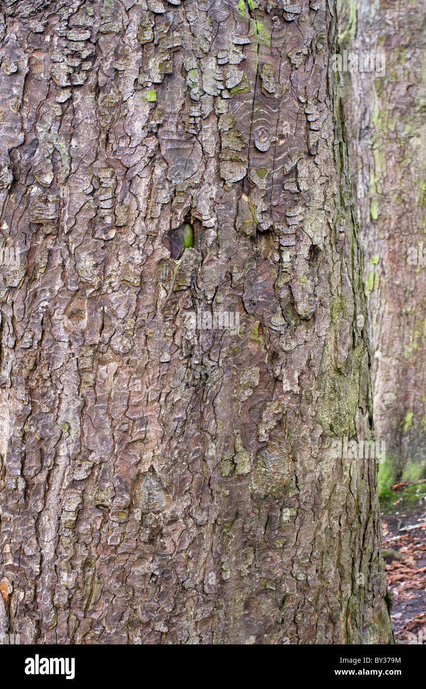 arrow valley country park redditch Stock Photo - Alamy
