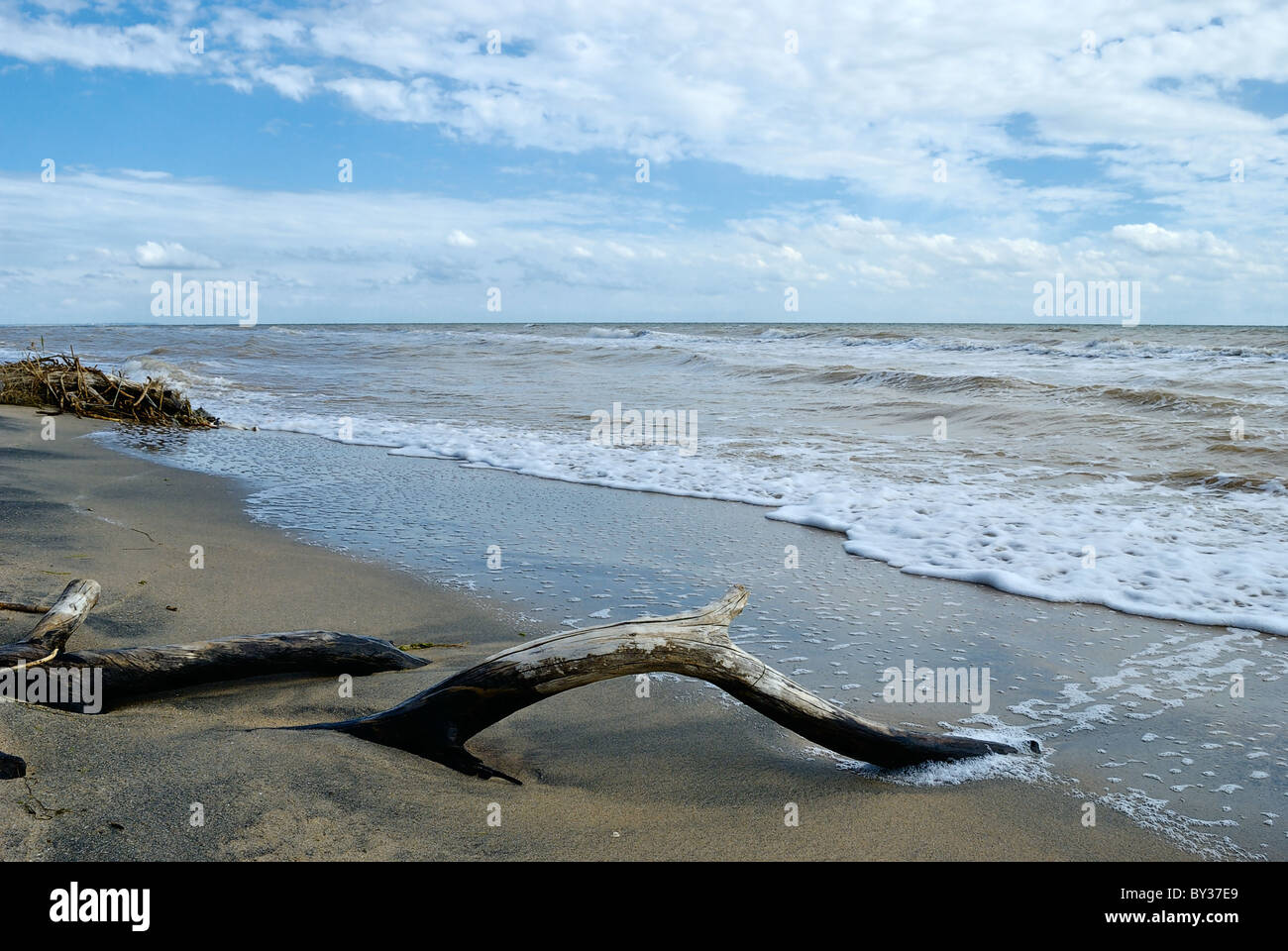 nature mud seascape. Sky and beach Stock Photo - Alamy
