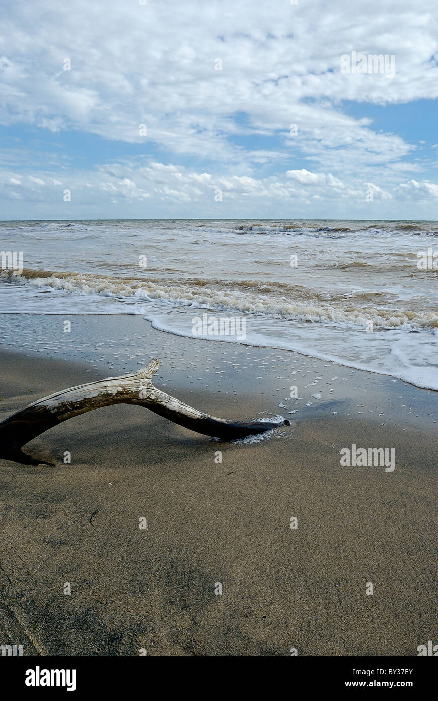 nature mud seascape. Sky and beach Stock Photo - Alamy