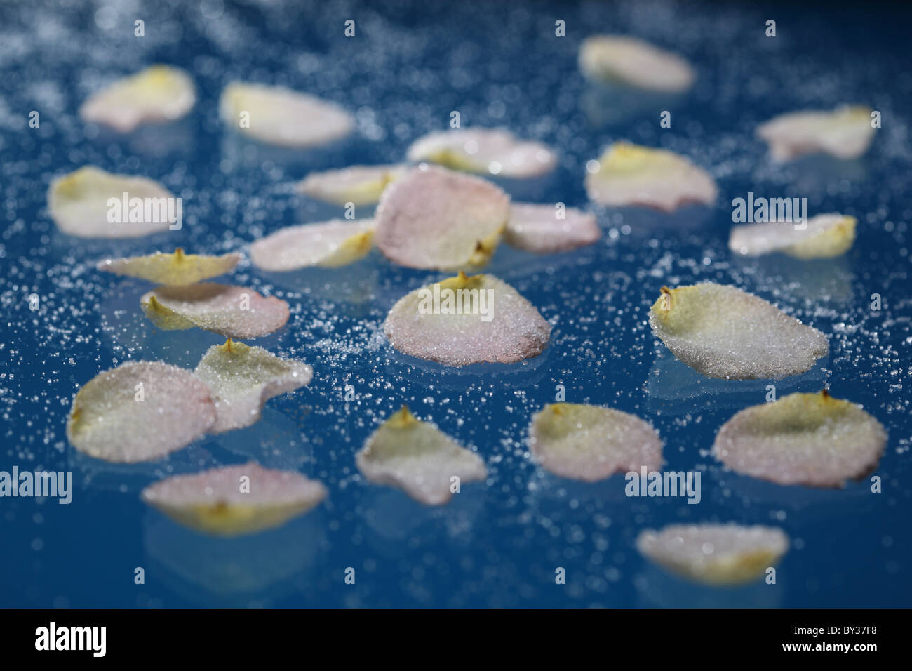 sugared rose petals edible Stock Photo - Alamy