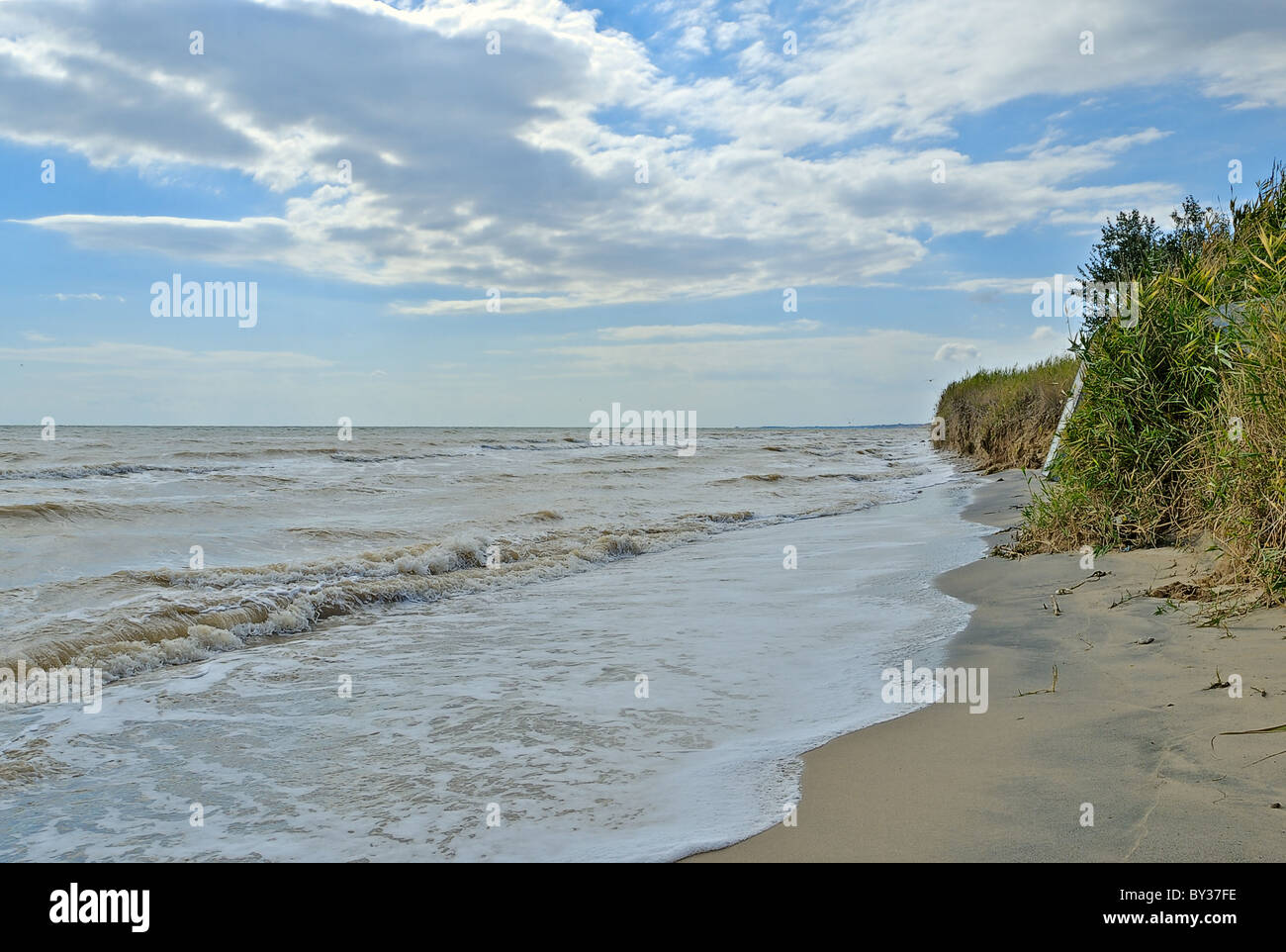 nature mud seascape. Sky and beach Stock Photo - Alamy
