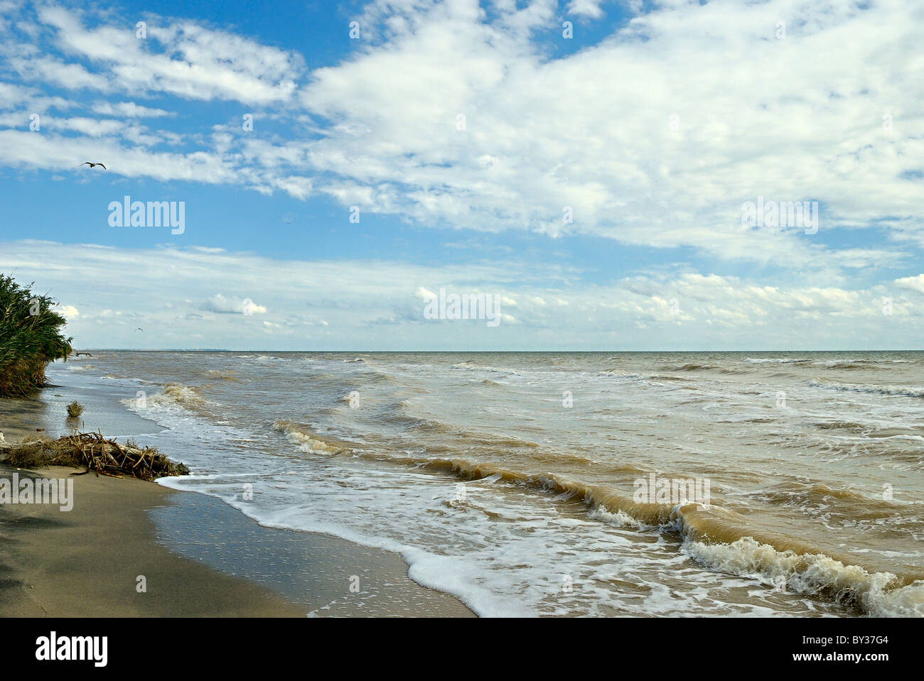 nature mud seascape. Sky and beach Stock Photo - Alamy