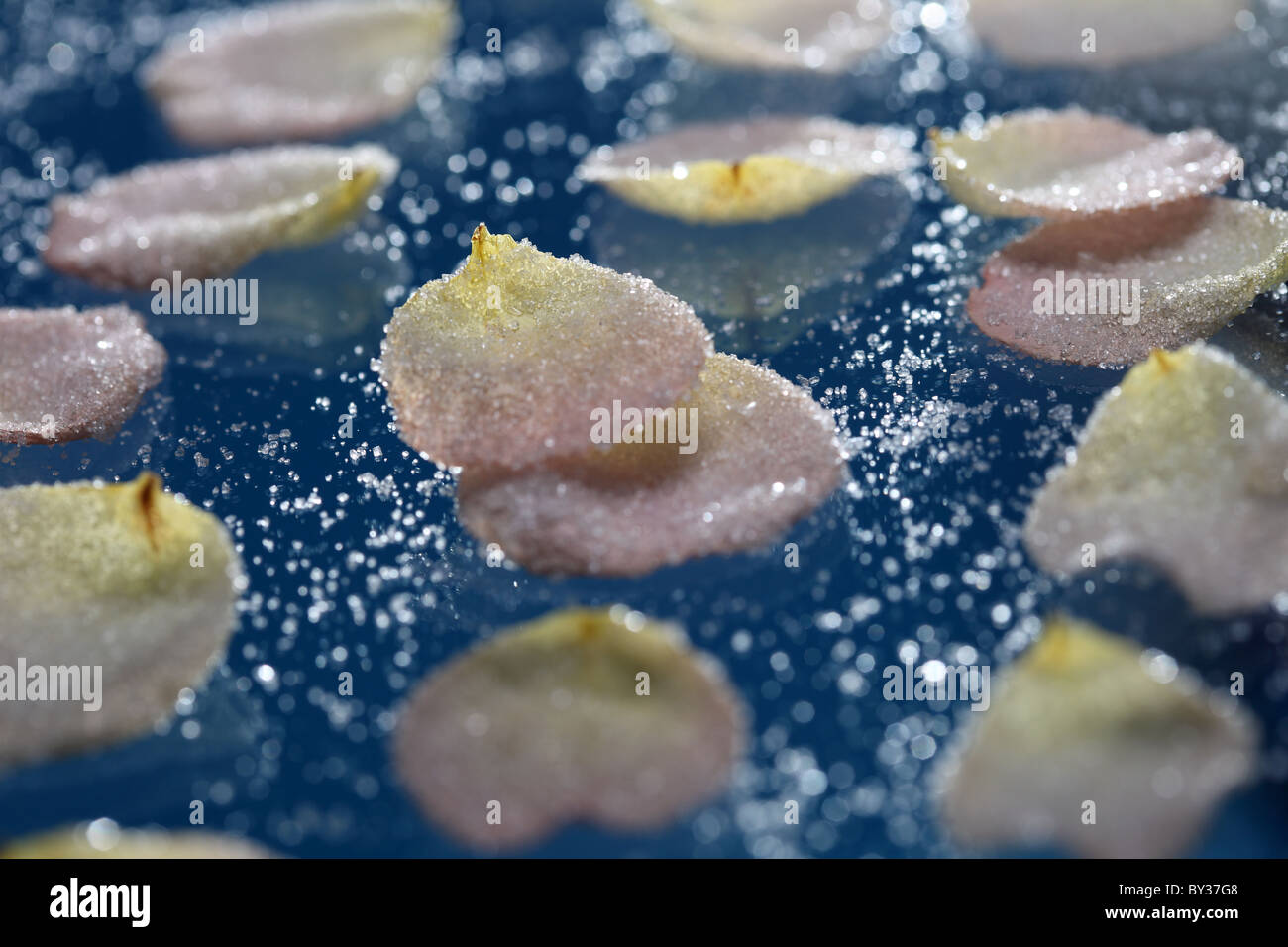 sugared rose petals edible Stock Photo - Alamy