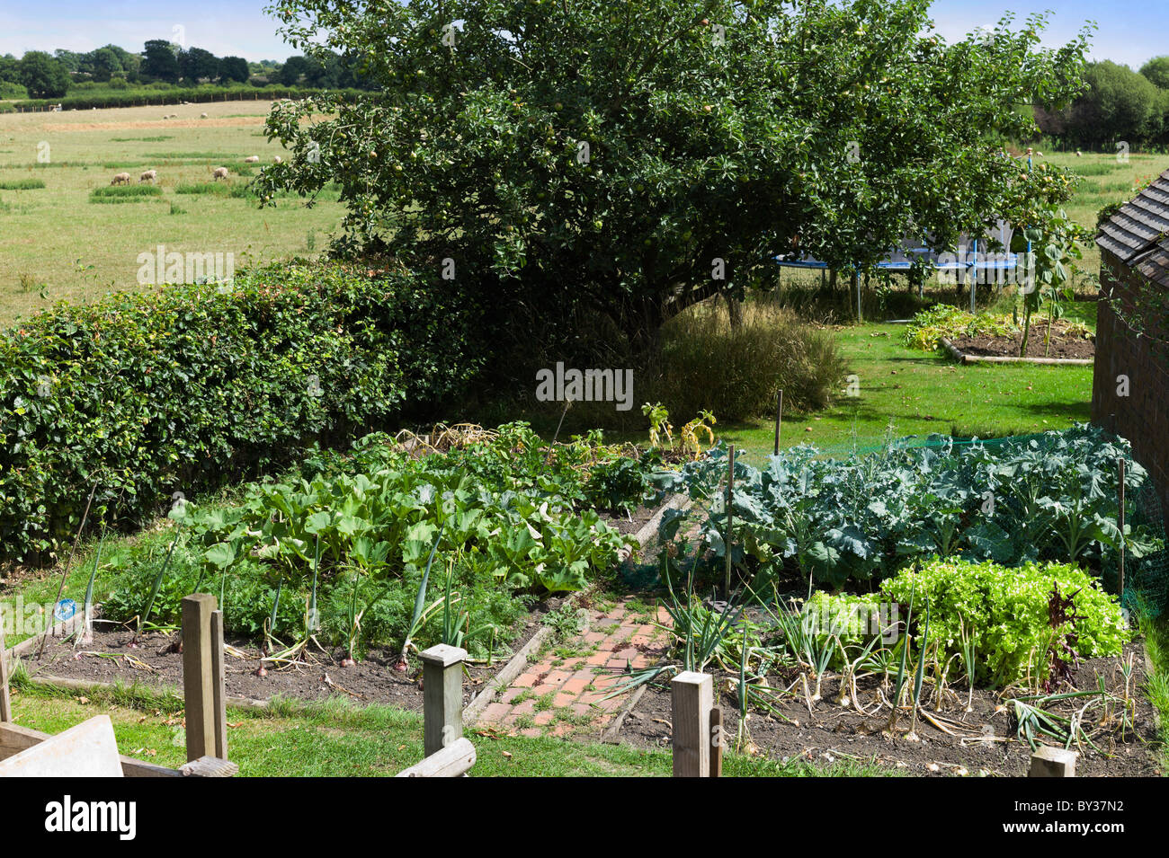 cottage with vegetable garden Stock Photo - Alamy