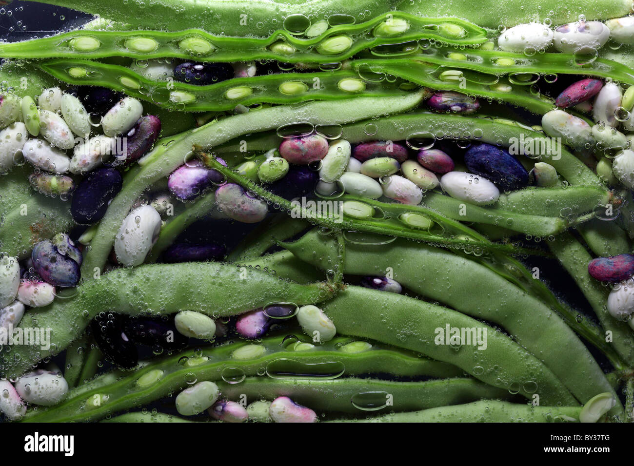 Washing string beans hi-res stock photography and images - Alamy