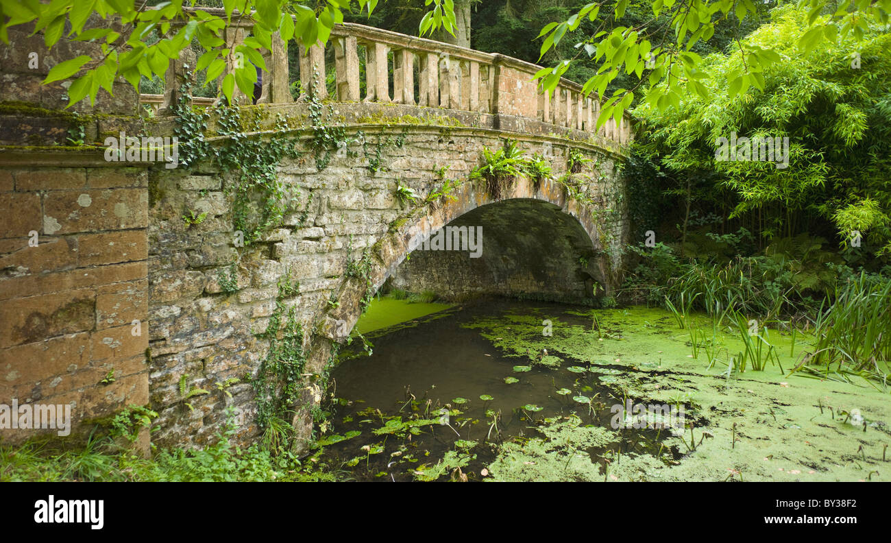 minterne abbey house gardens dorset Stock Photo - Alamy