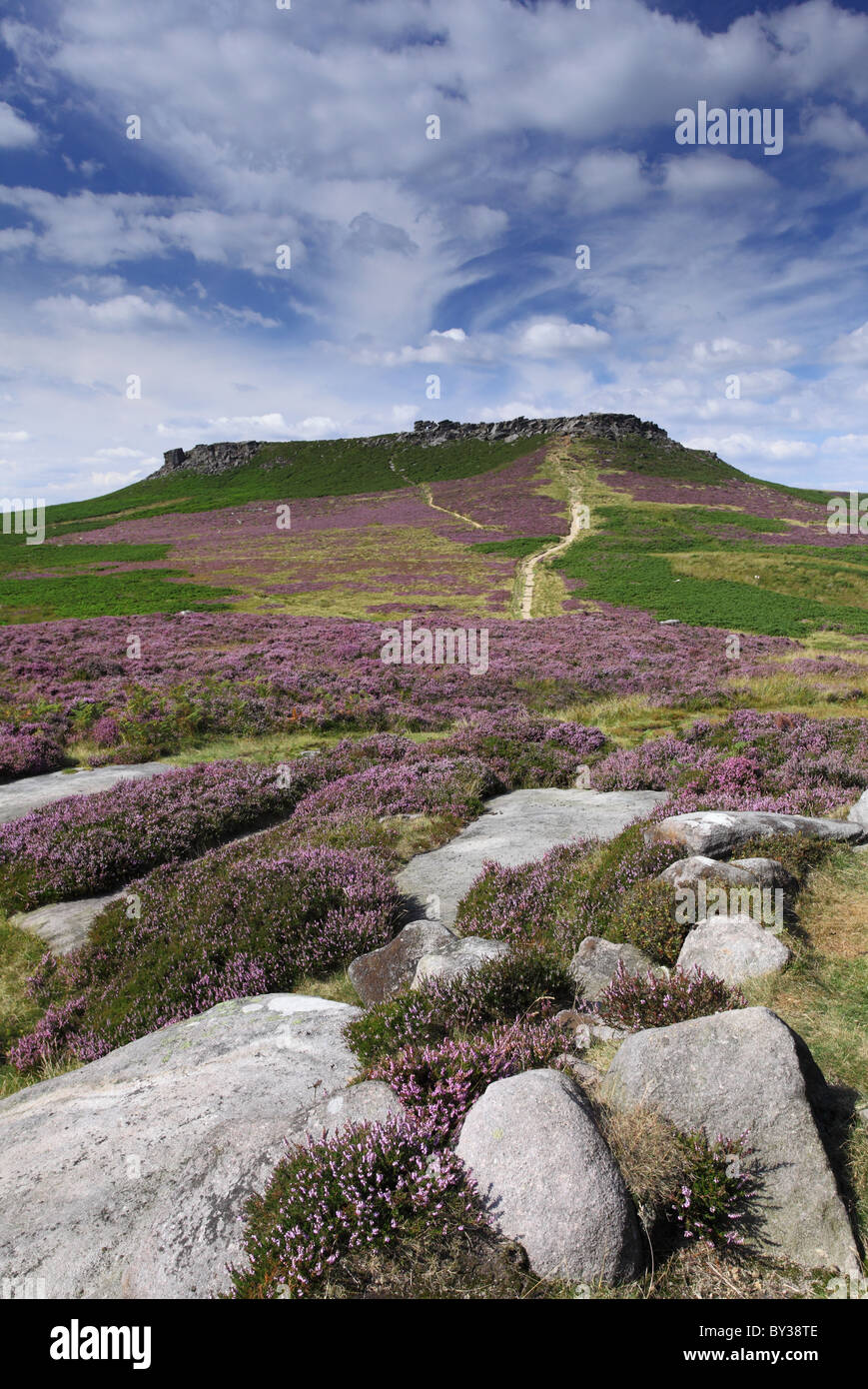 Heather moor hi-res stock photography and images - Alamy