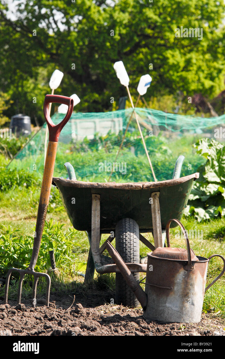An old rusty fork, wheelbarrow and watering can on an allotment in ...