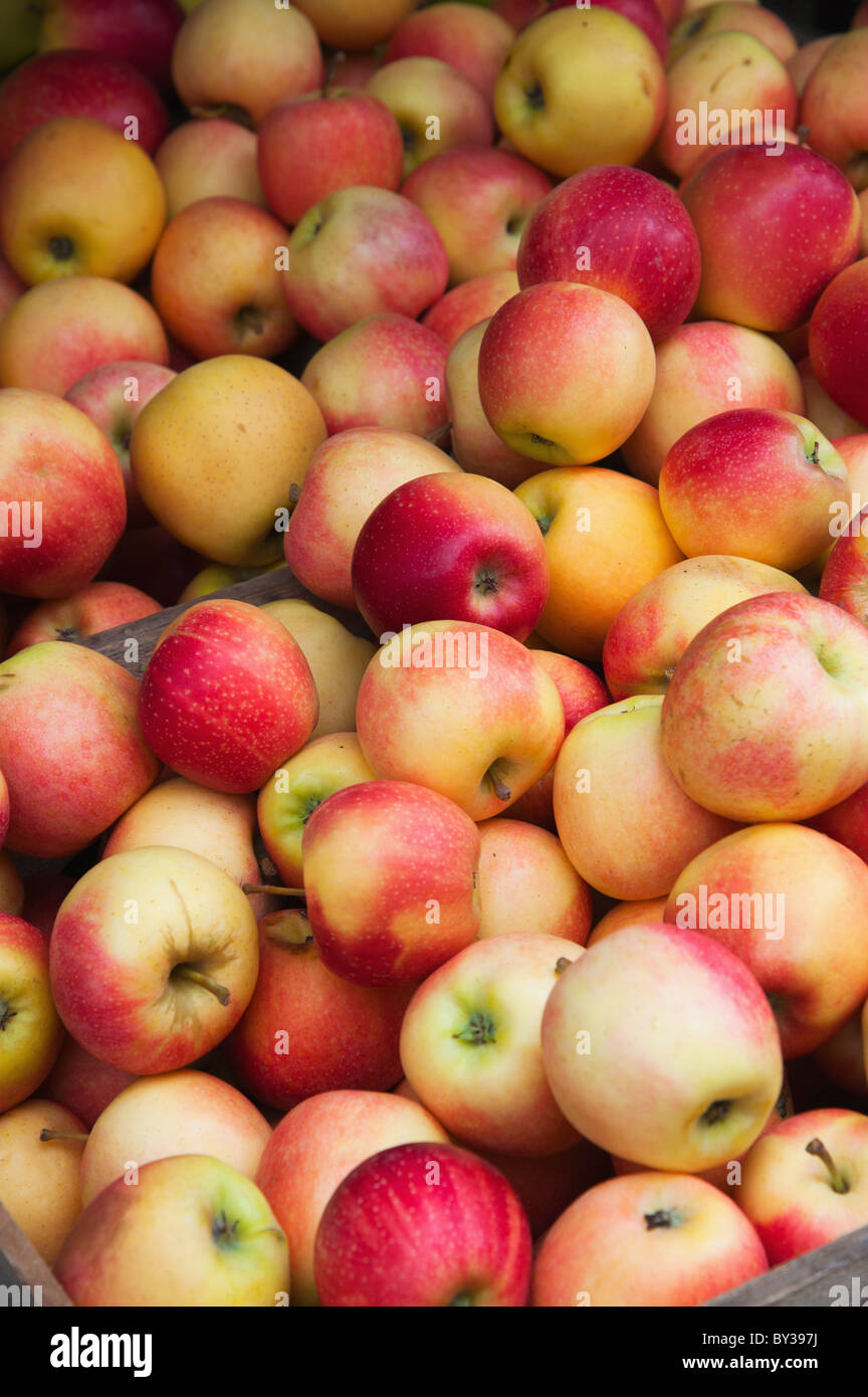 Pile of apples on market stall Stock Photo - Alamy