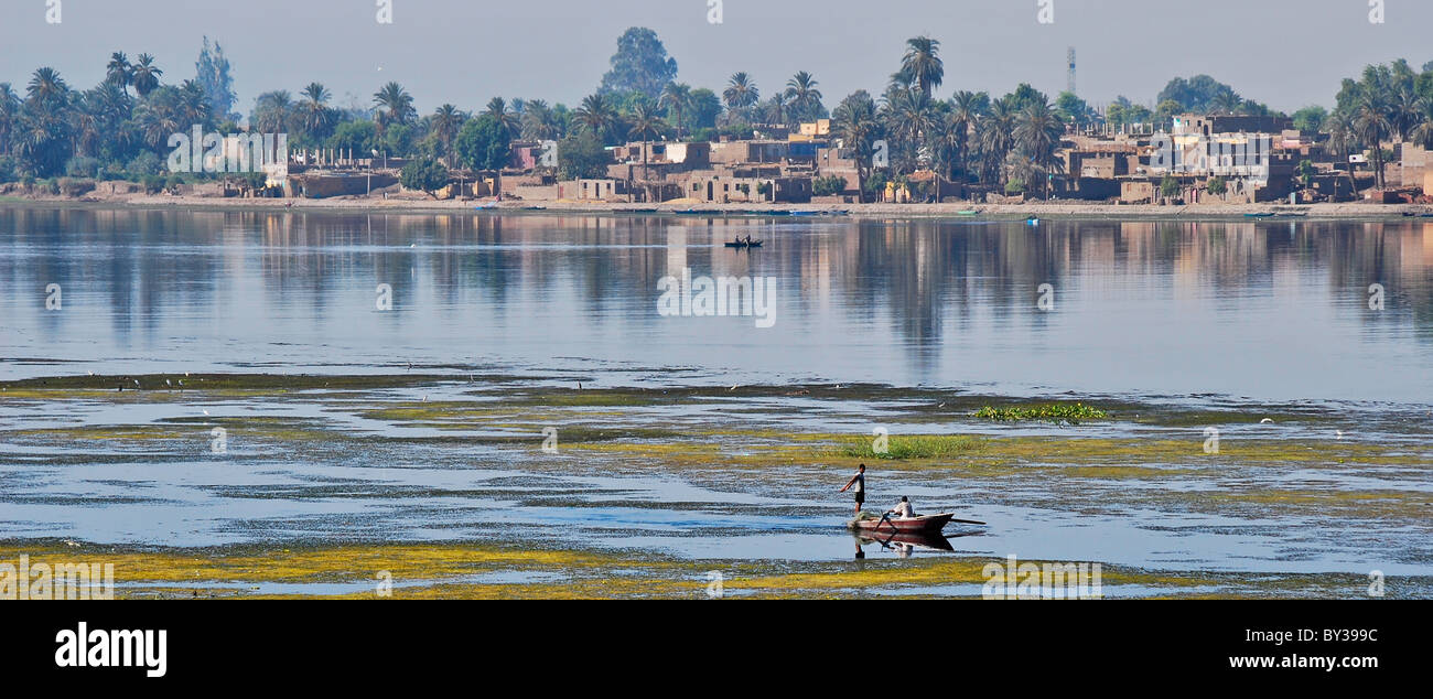 Egypt nile river desert tree hi-res stock photography and images - Alamy