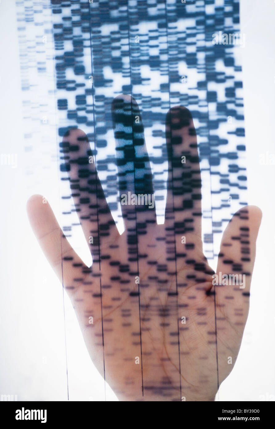 Human hand touching DNA chart Stock Photo - Alamy