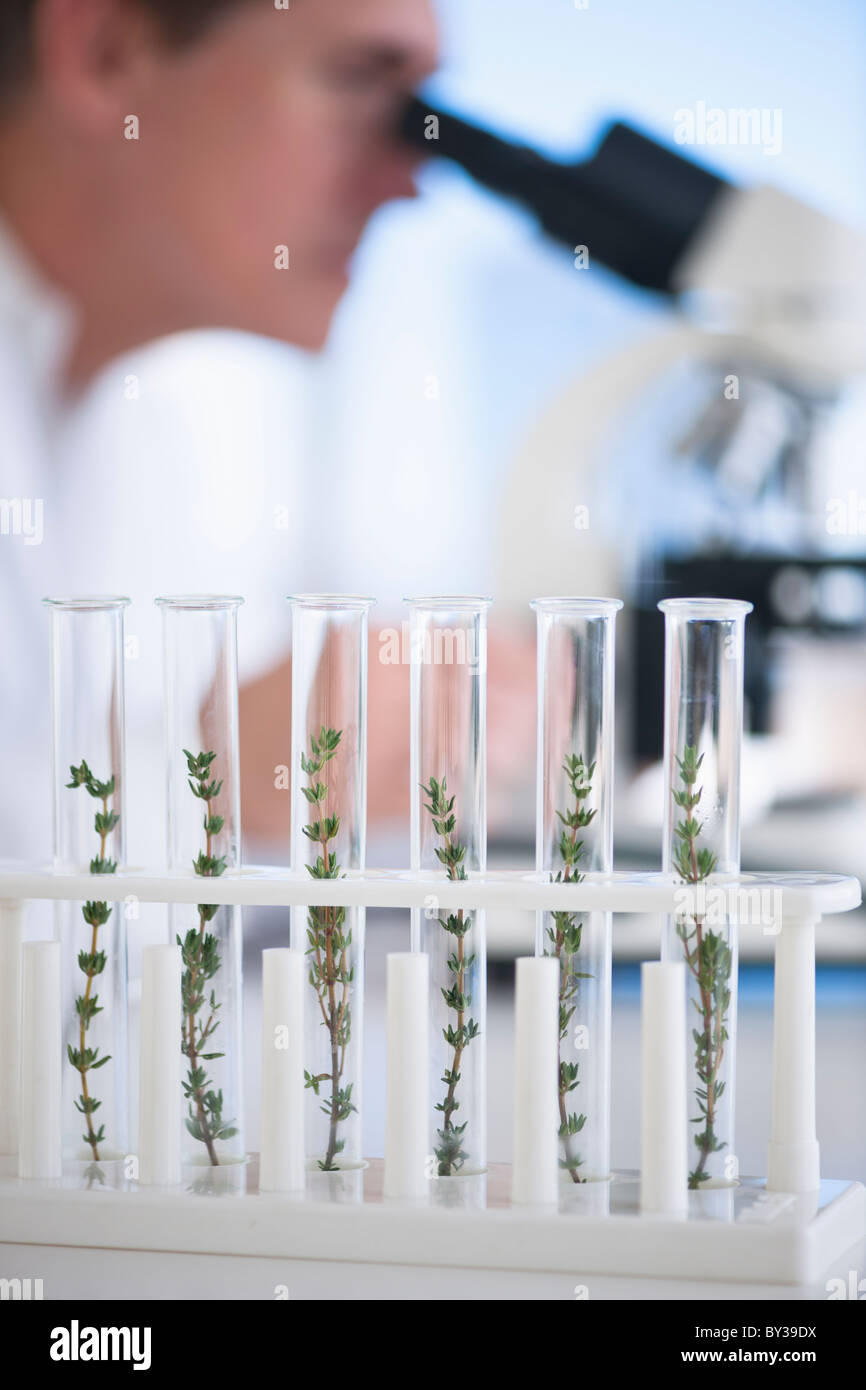 USA, New Jersey, Jersey City, Botanic laboratory Stock Photo - Alamy