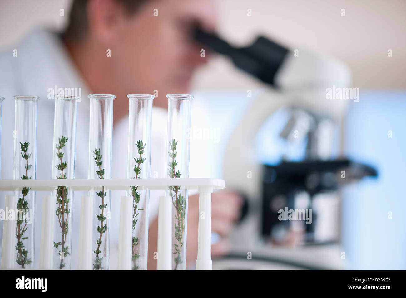 USA, New Jersey, Jersey City, Botanic laboratory Stock Photo - Alamy