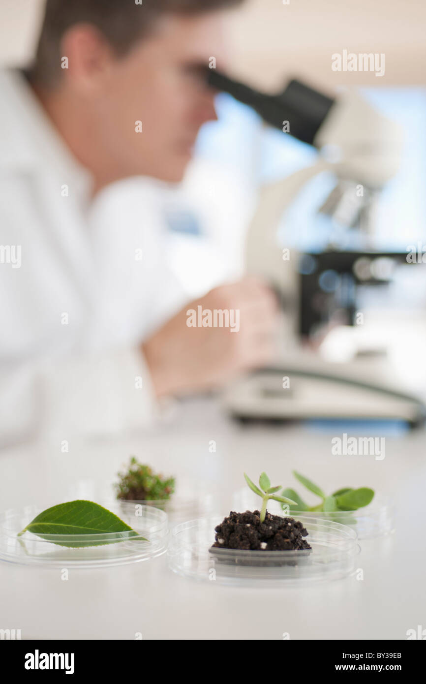 USA, New Jersey, Jersey City, Botanic laboratory Stock Photo - Alamy