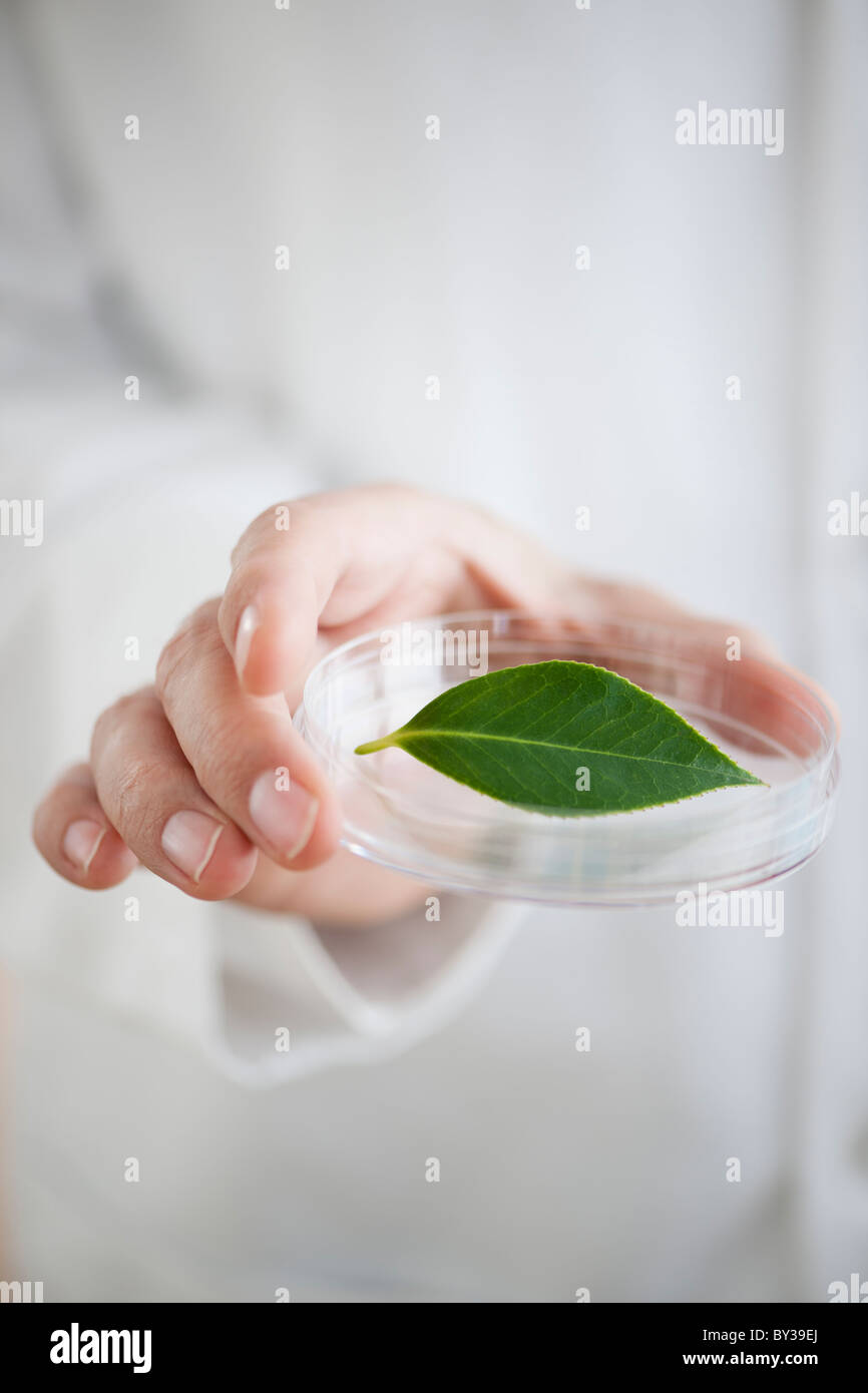 USA, New Jersey, Jersey City, Botanic laboratory Stock Photo - Alamy
