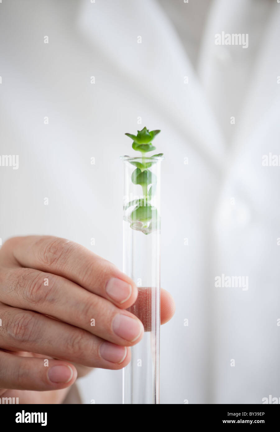 USA, New Jersey, Jersey City, Botanic laboratory Stock Photo - Alamy