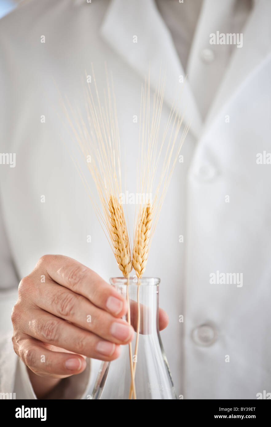 USA, New Jersey, Jersey City, Botanic laboratory Stock Photo - Alamy