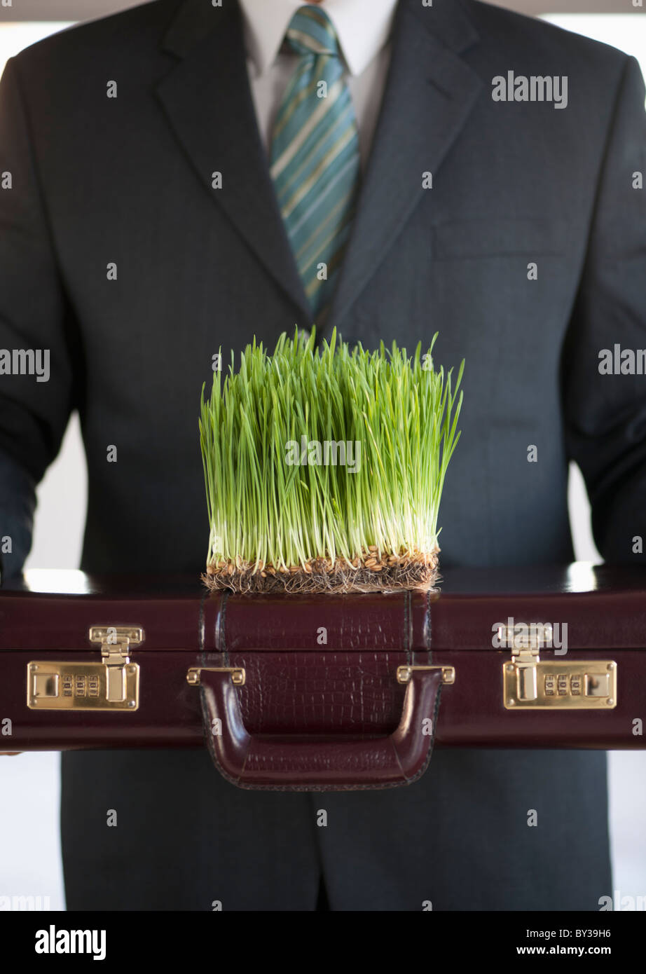 USA, New Jersey, Jersey City, Man holding growing grass in front of him ...