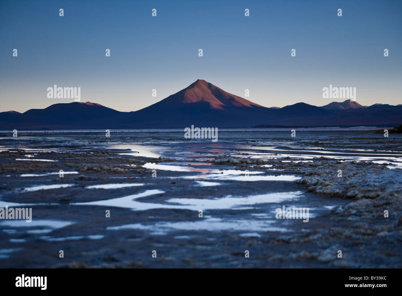 Laguna Colorada, Bolivia Stock Photo - Alamy