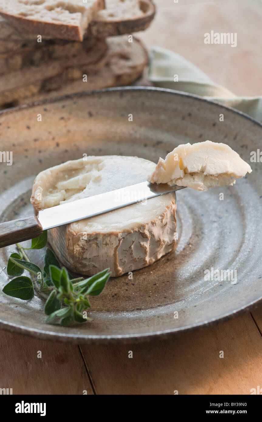 Brie cheese on plate Stock Photo - Alamy