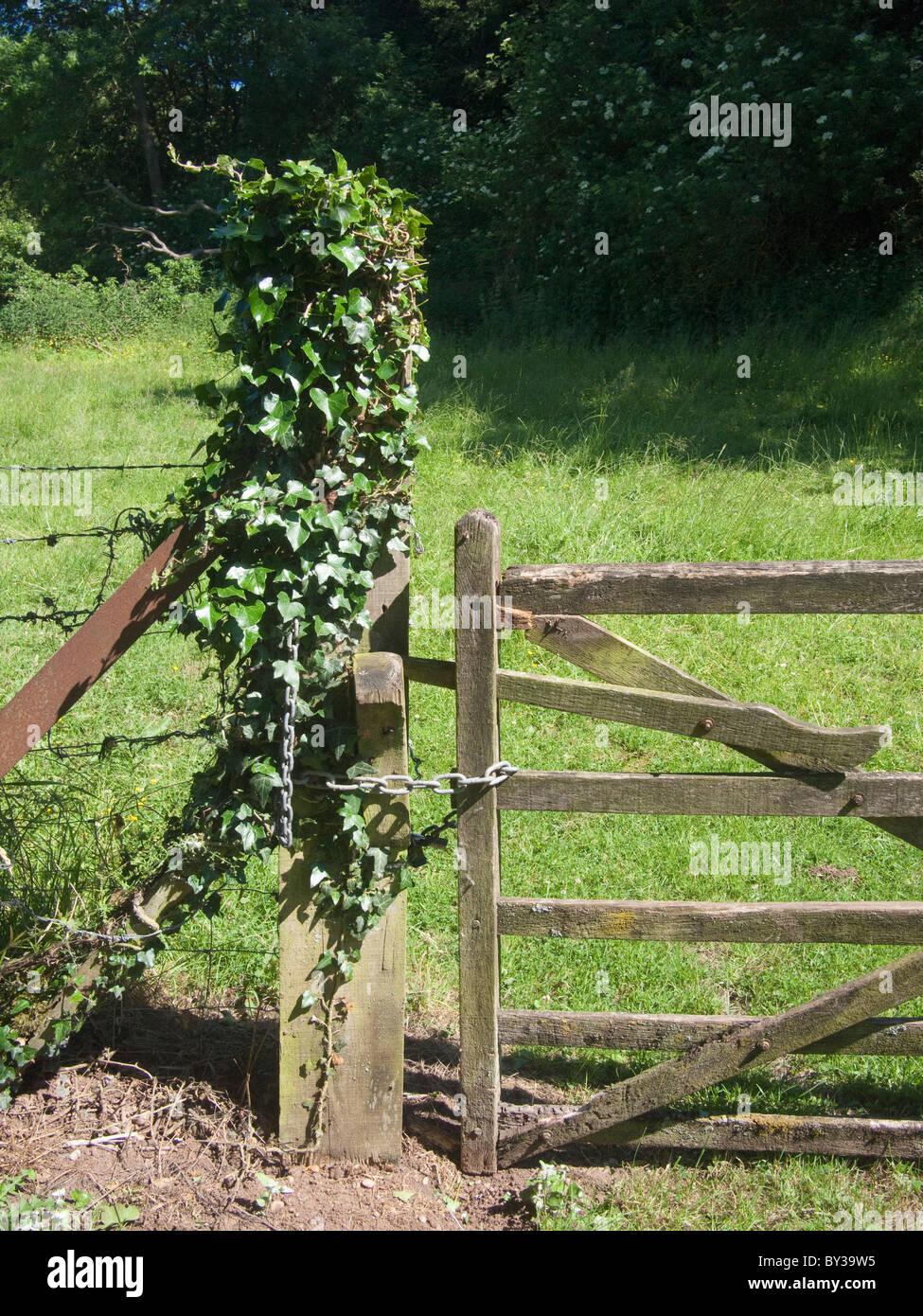 Farm Gate Padlock And Chain High Resolution Stock Photography and ...