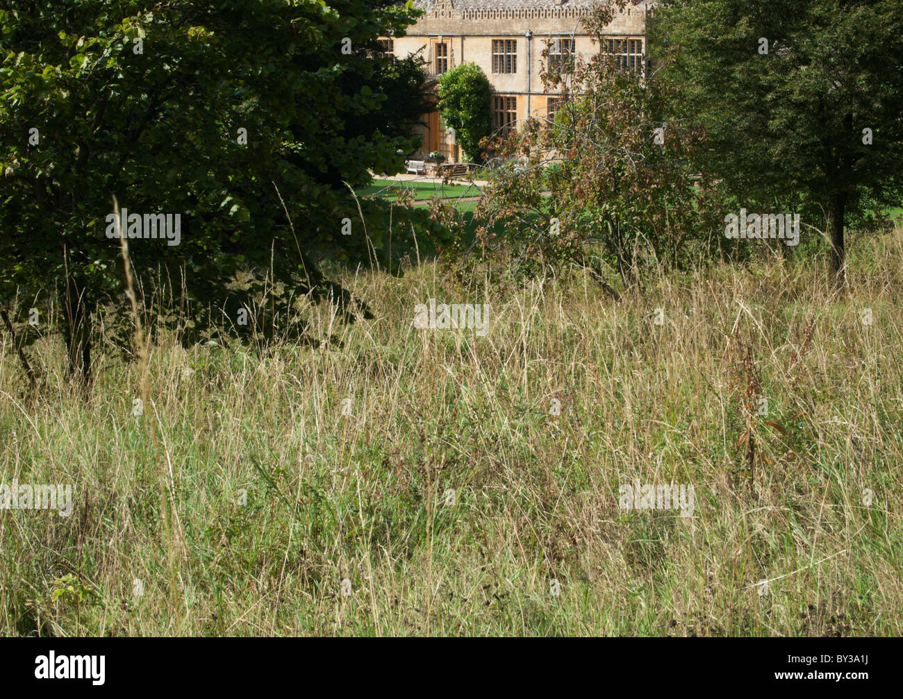 Stanway hall hi-res stock photography and images - Alamy