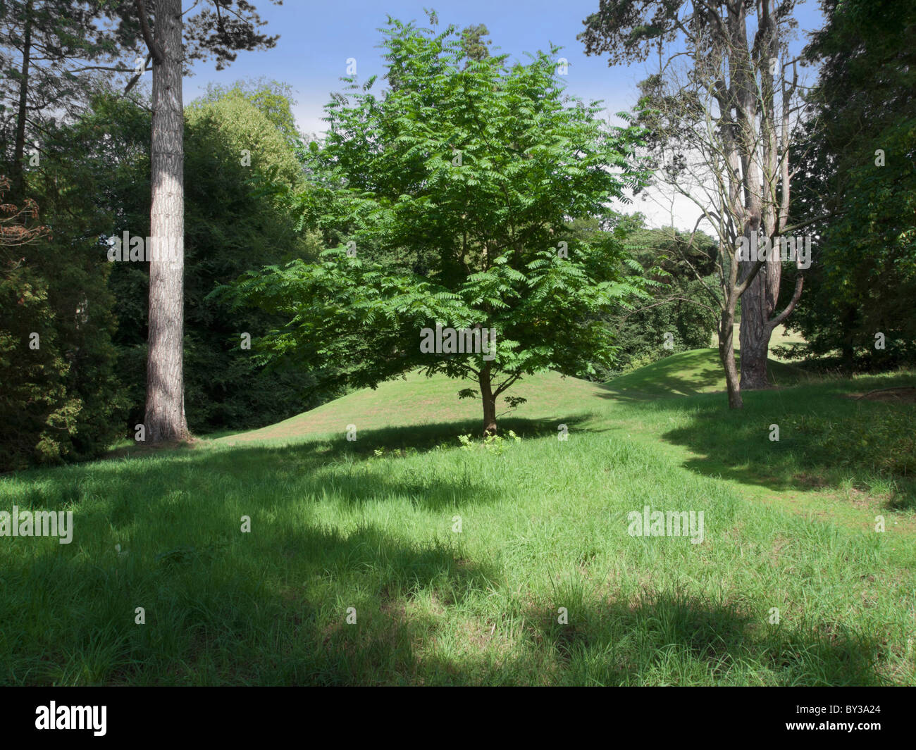 Stanway hall hi-res stock photography and images - Alamy