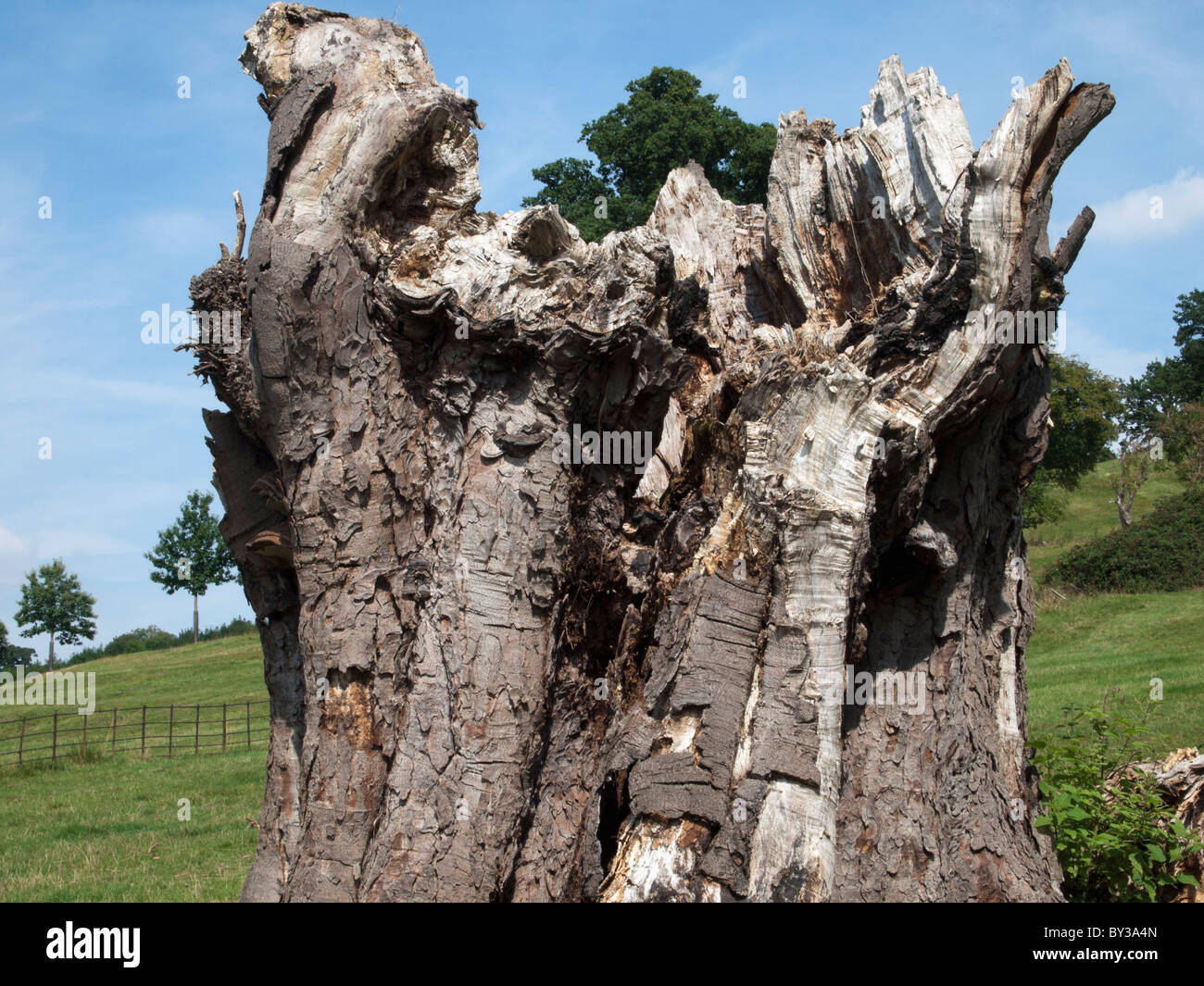 Stanway hall hi-res stock photography and images - Alamy