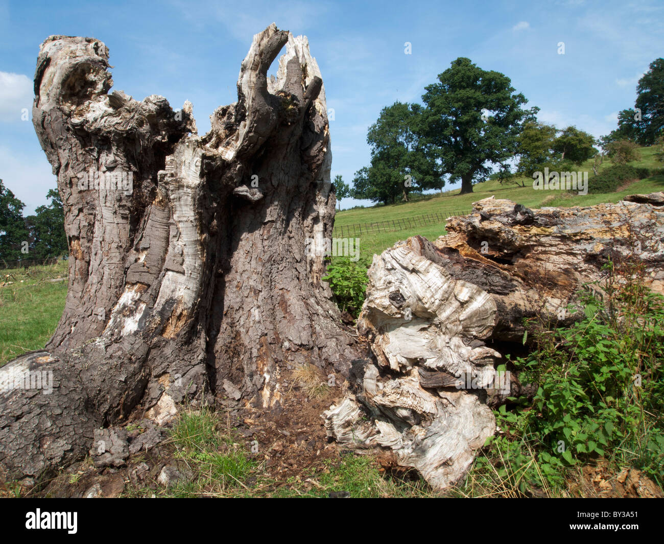 Stanway hall hi-res stock photography and images - Alamy