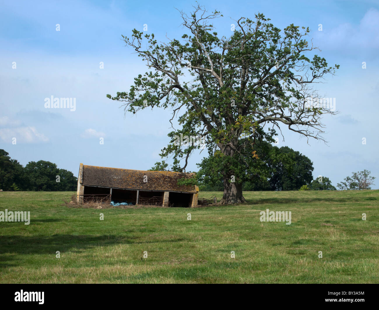 Stanway hall hi-res stock photography and images - Alamy